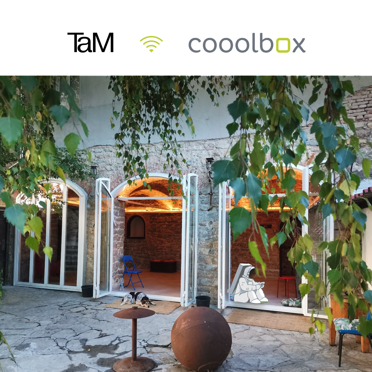 Какво се случи в Cooolbox през 2022?